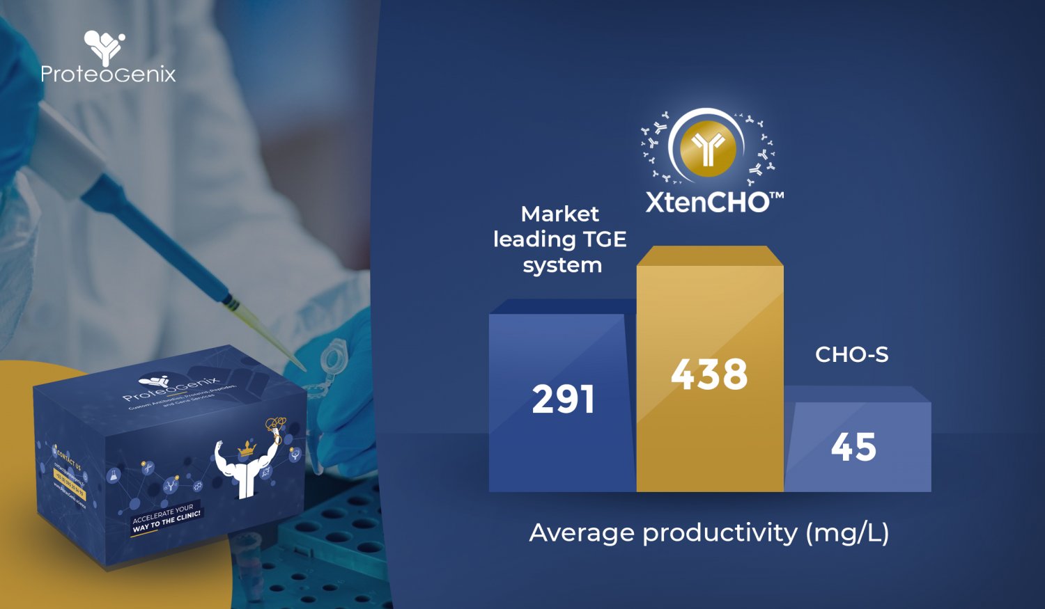 ProteoGenix Launches New XtenCHO Transient CHO Expression System to ...